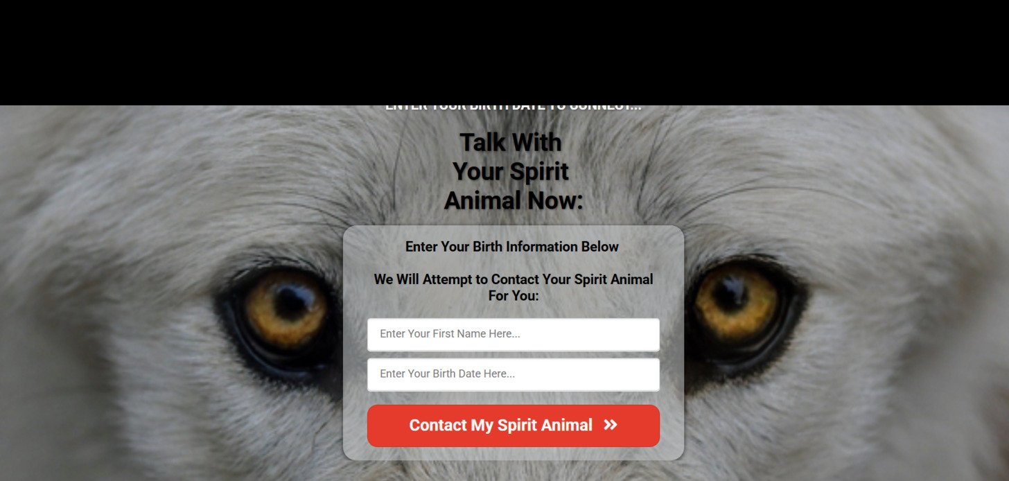 13 Native American Spirit Animals List: Traditional Wisdom Explained"